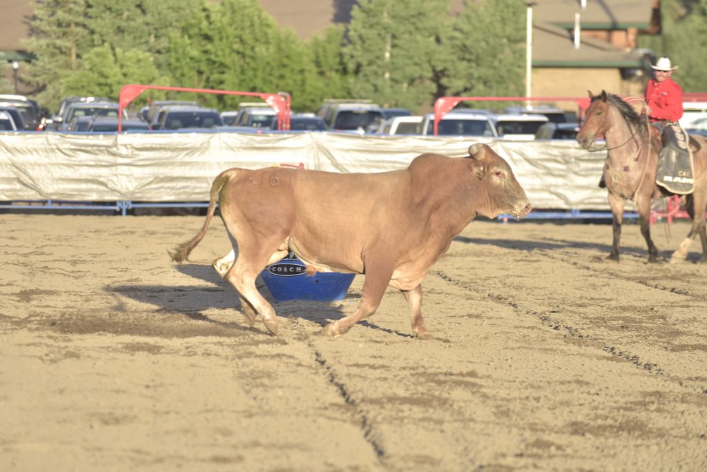 ‘One of the best rodeos there is’: Steamboat Pro Rodeo Series opens ...